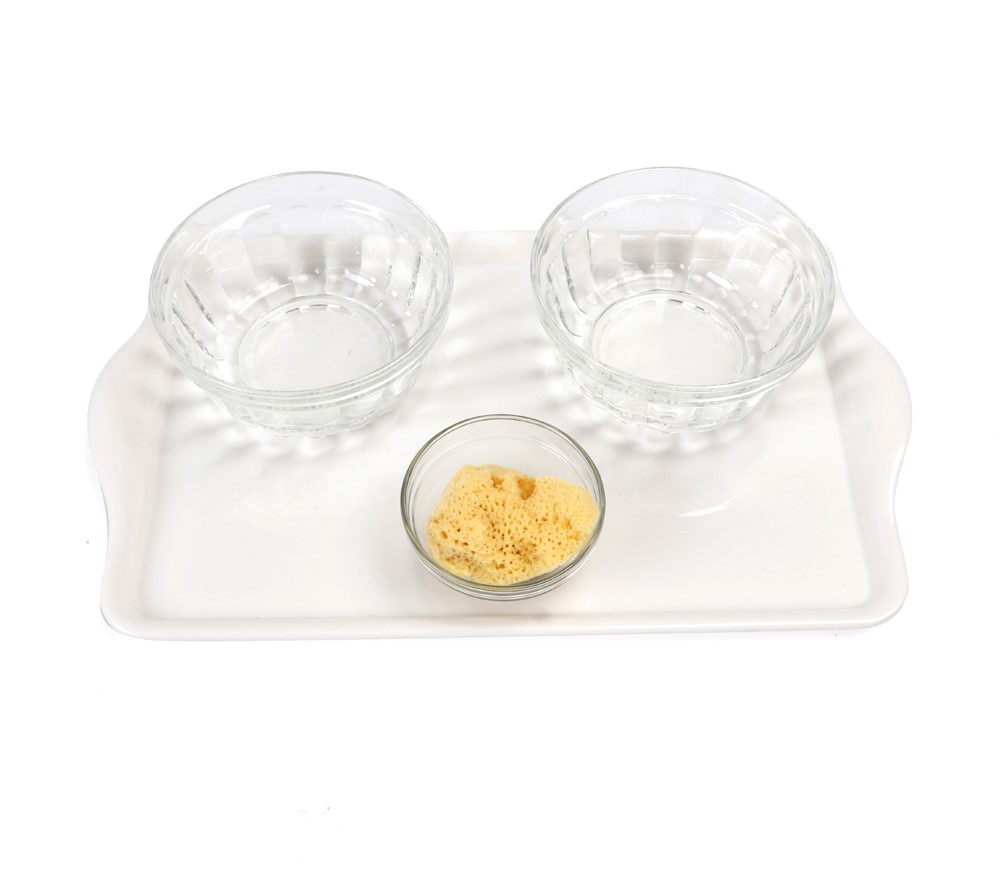 Squeezing a Sponge Activity | E&O Montessori