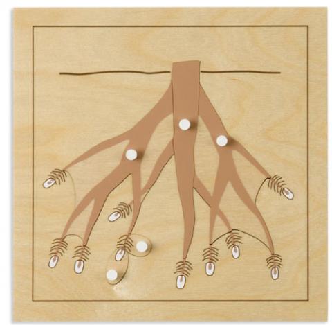 Root Puzzle | E&O Montessori