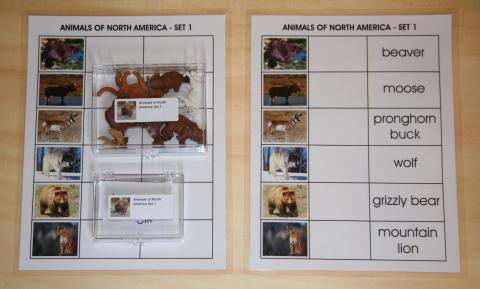 Animals of the World - the Whole Set | E&O Montessori