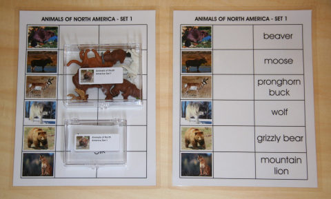 Animals of the World Montessori Set – 7 Continents (Ages 4–6)