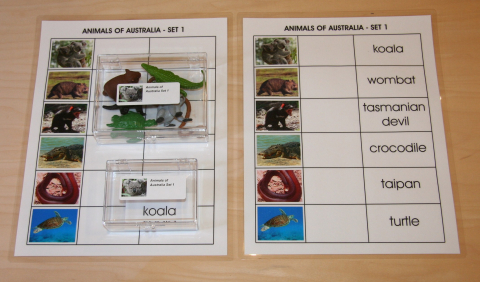 Animals of Australia Set with 12 Objects | E&O Montessori