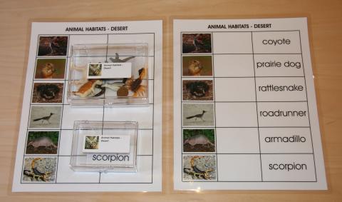 Animal Habitats - The Whole Set | E&O Montessori