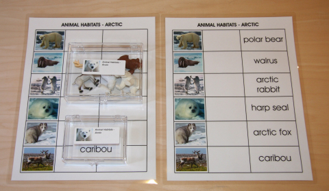 Animal Habitats - Arctic | E&O Montessori