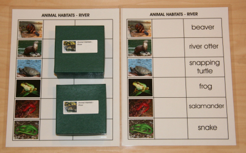 Animal Habitats - River | E&O Montessori