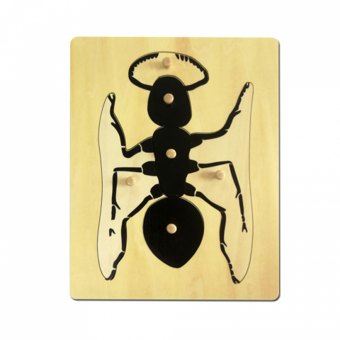Ant Puzzle | E&O Montessori