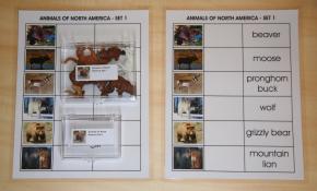 North America Puzzle Map | E&O Montessori