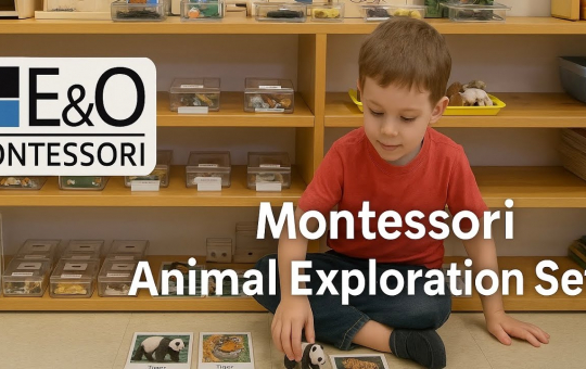 Montessori Materials for Primary, Toddler and Elementary